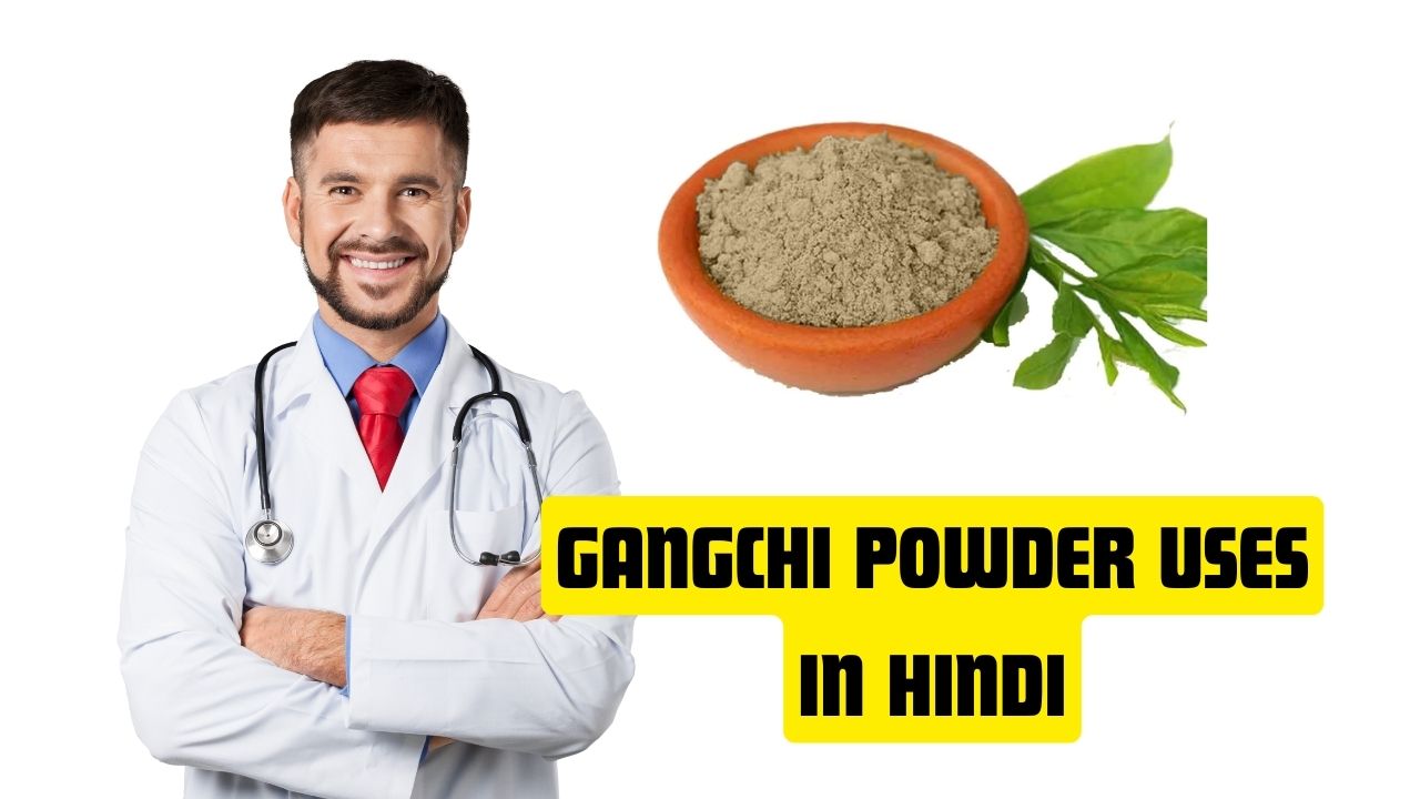 Gangchi Powder Uses in Hindi - गागंची पाउडर के उपयोग हिंदी में ...